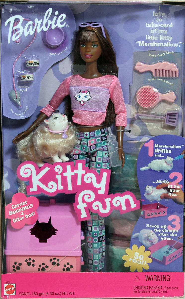 2000 Kitty Fun AA Barbie – Sell4Value