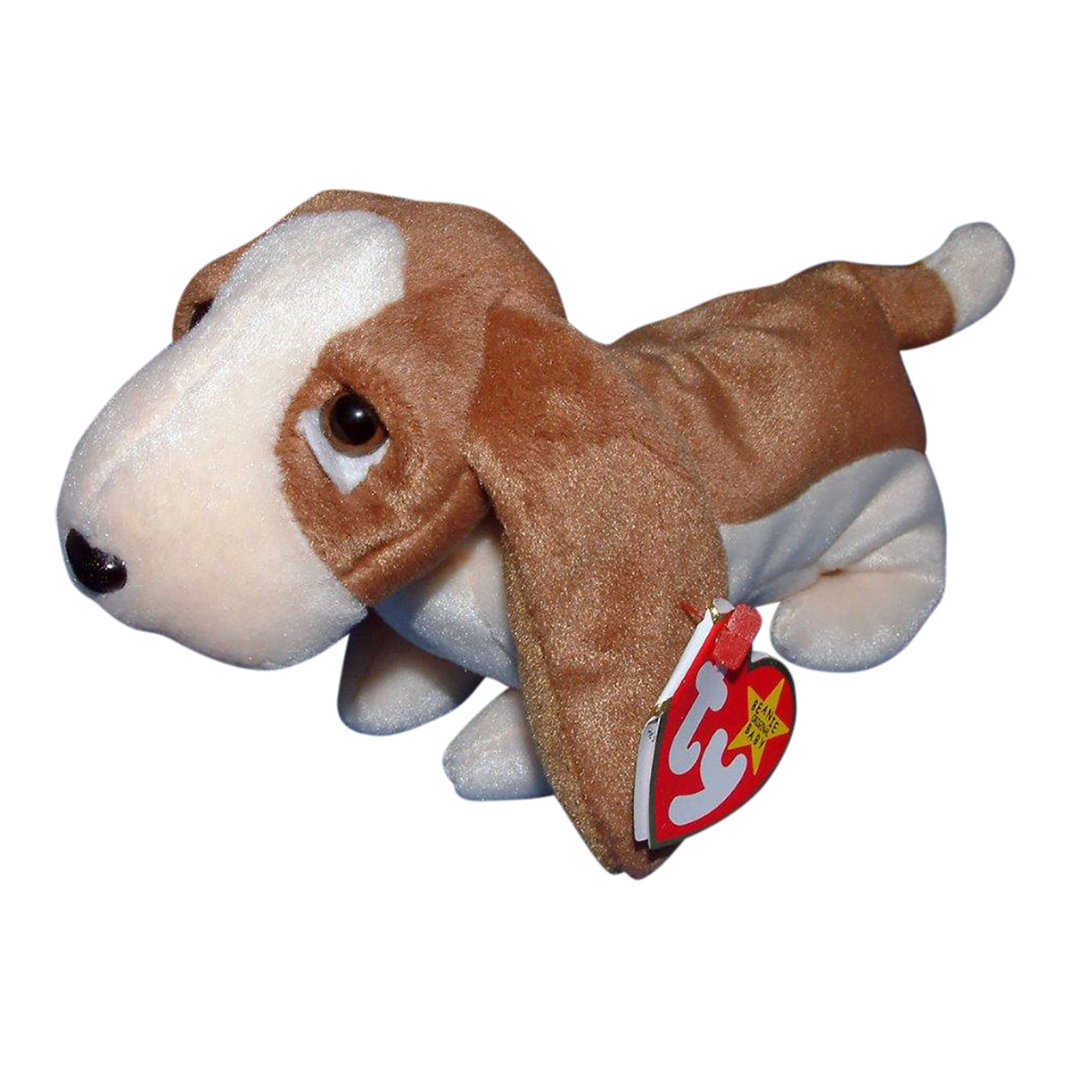 Ty Beanie Baby: Tracker the Basset Hound – Sell4Value